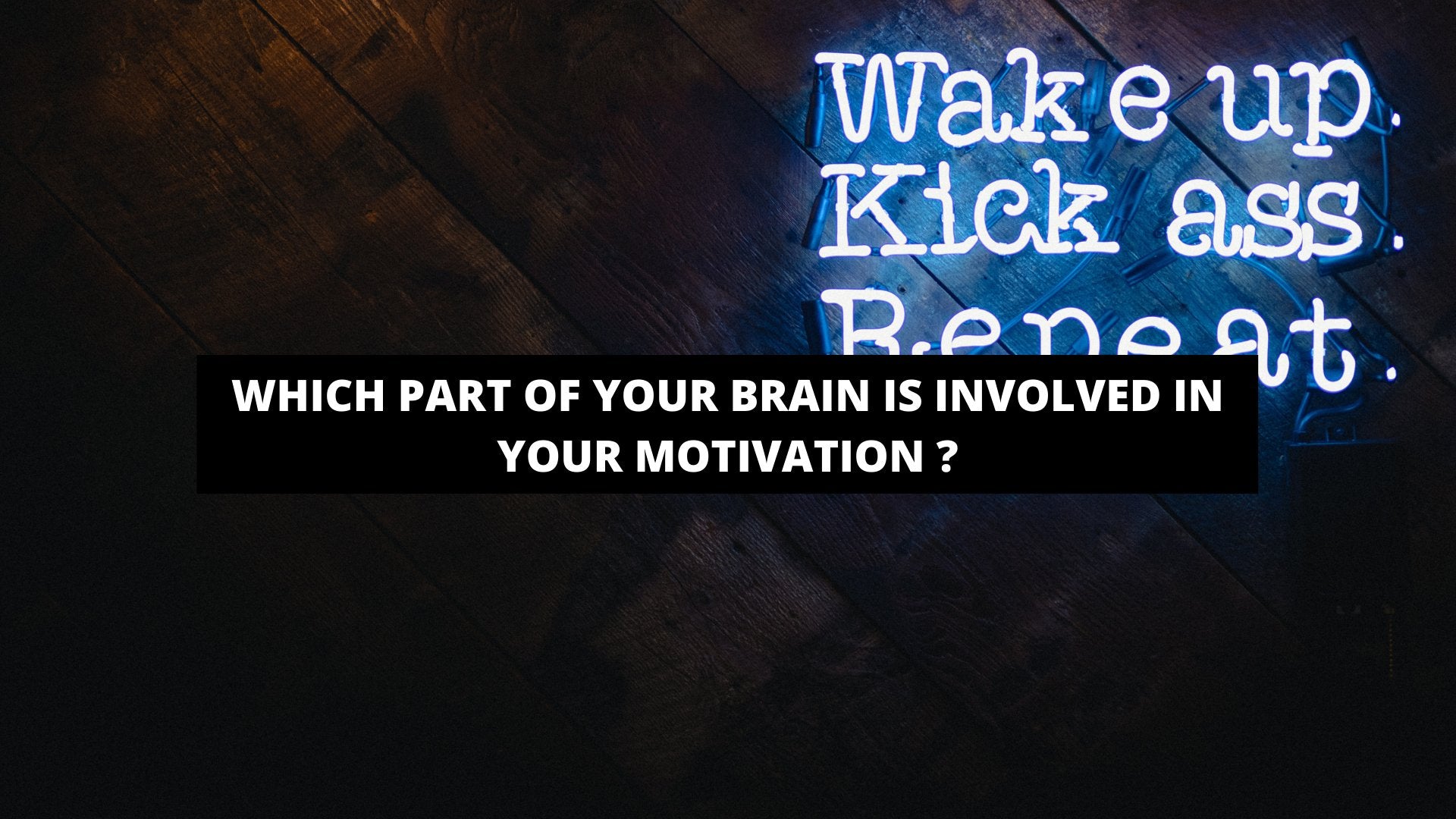 Which Part Of Your Brain Is Involved In Your Motivation ? | The Trendy Art